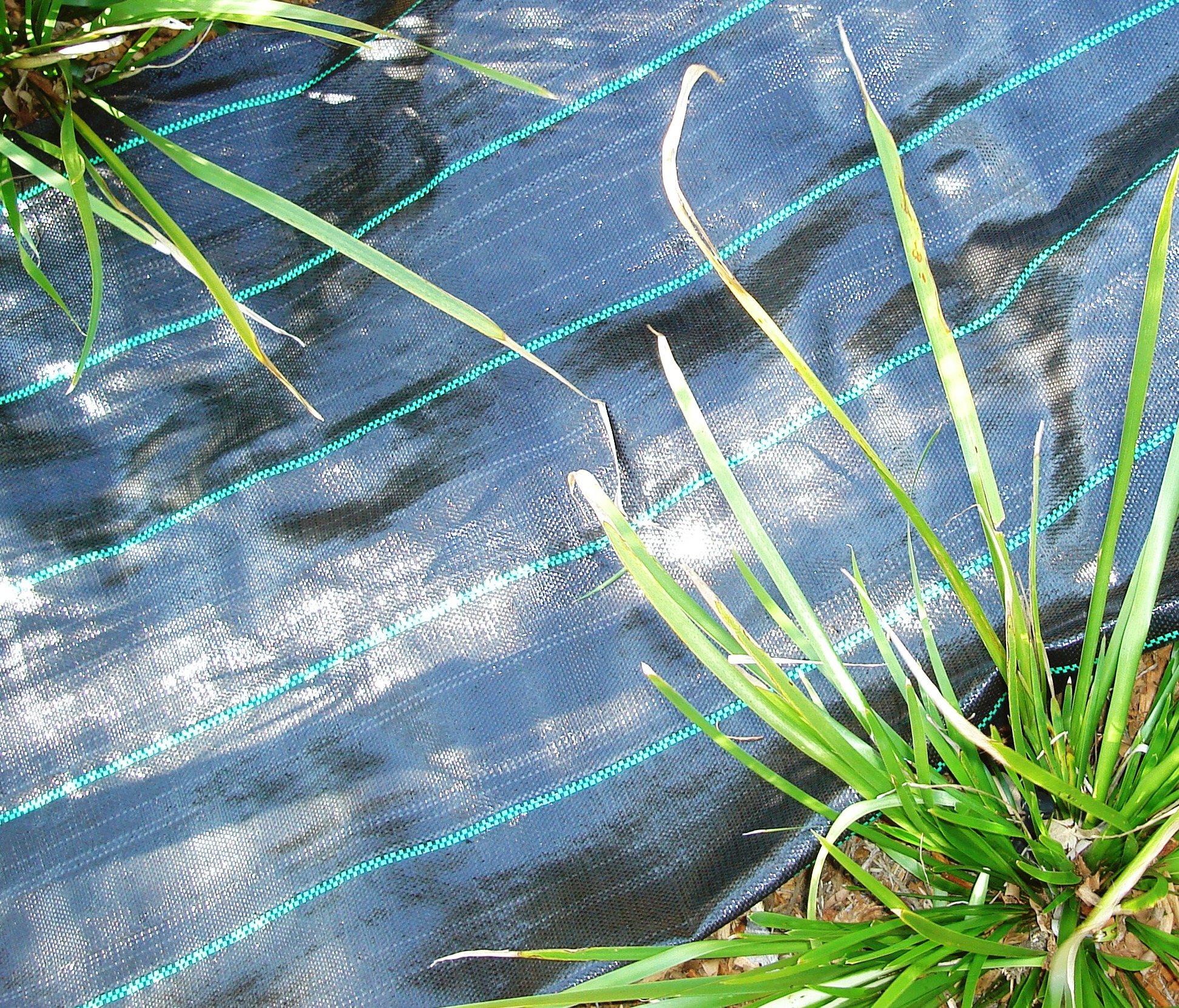 Abmat Premium Weedmat | Absolute Trade Supplies