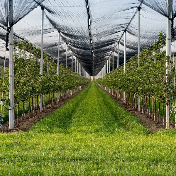 Canopy Components | Absolute Trade Supplies