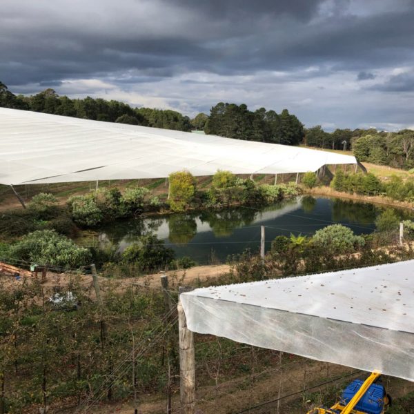 Canopy Components | Absolute Trade Supplies